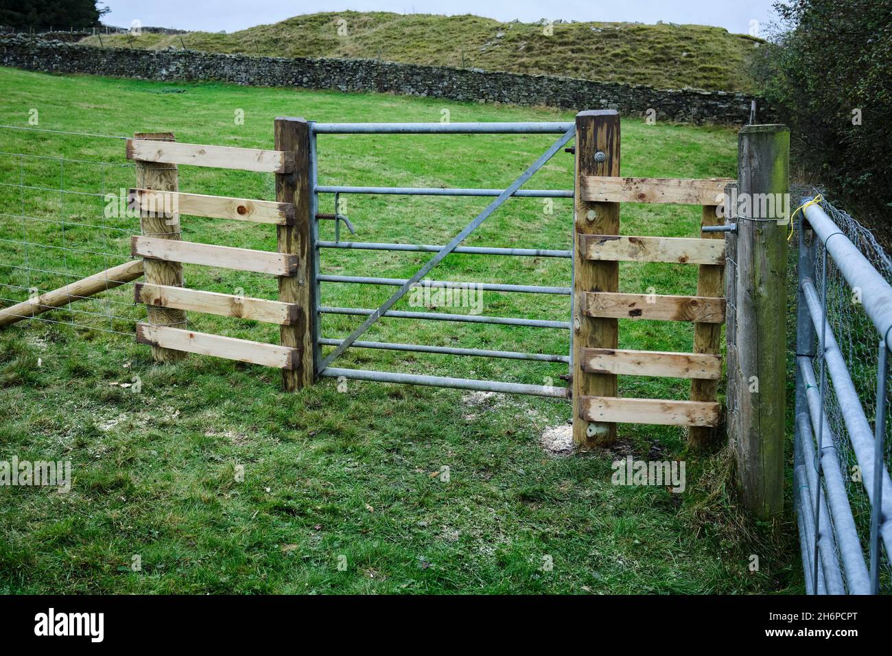 New galvanized gate fitted in sheep pasture prior to new woodland ...