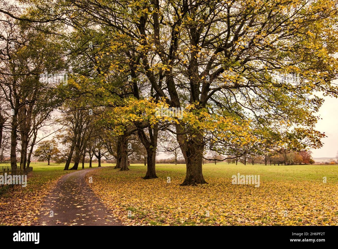 Route out from old restored peel tower hi-res stock photography and ...