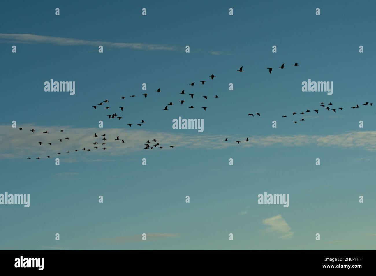 Mersehead nature reserve hi-res stock photography and images - Alamy