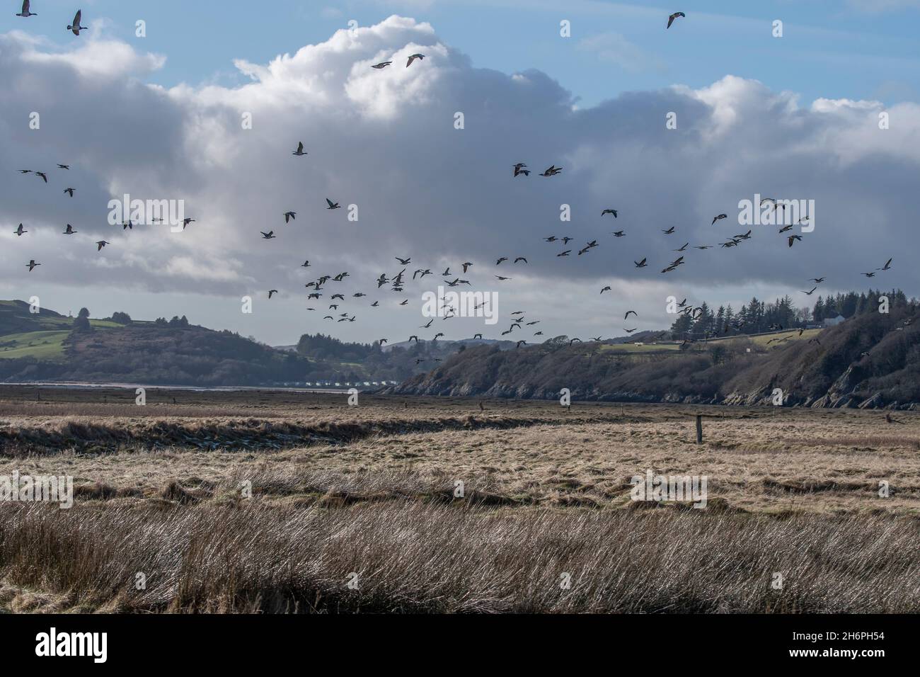 Mersehead nature reserve hi-res stock photography and images - Alamy