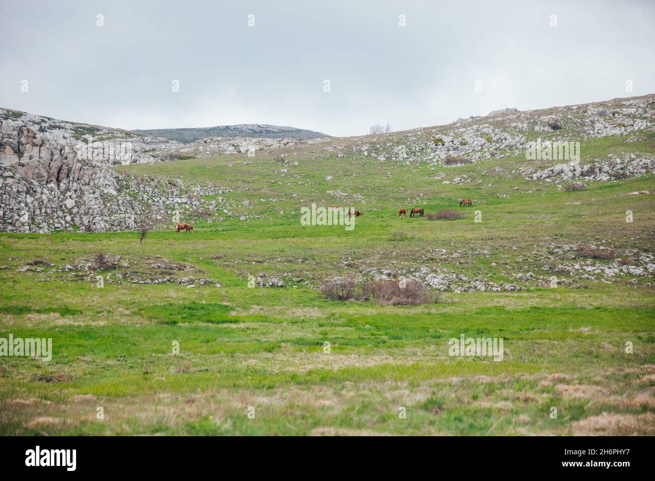 beautiful landscape of a mountain peak without trees Stock Photo - Alamy