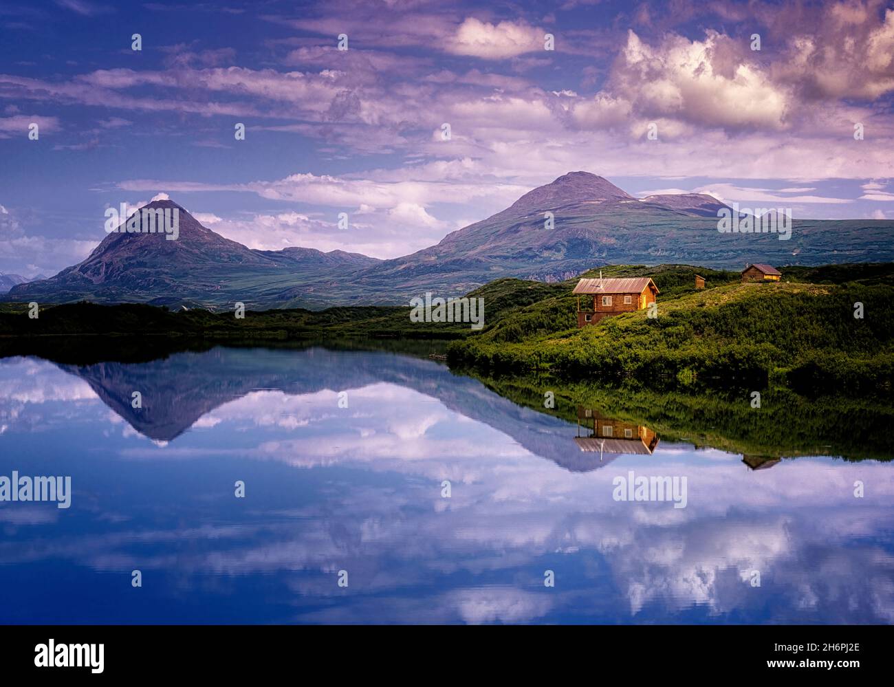 Tangle of greenery hi-res stock photography and images - Alamy