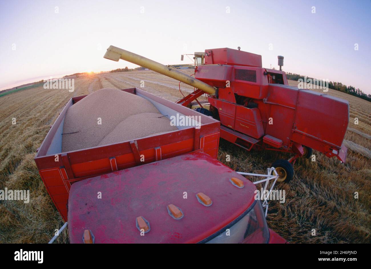 Grain harvest unloading sunset hi-res stock photography and images - Alamy