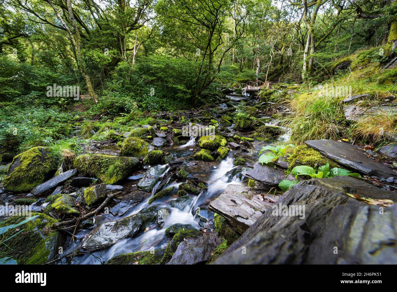 Rushing stream in the woods above Llyn Padarn, Llanberis, Snowdonia ...