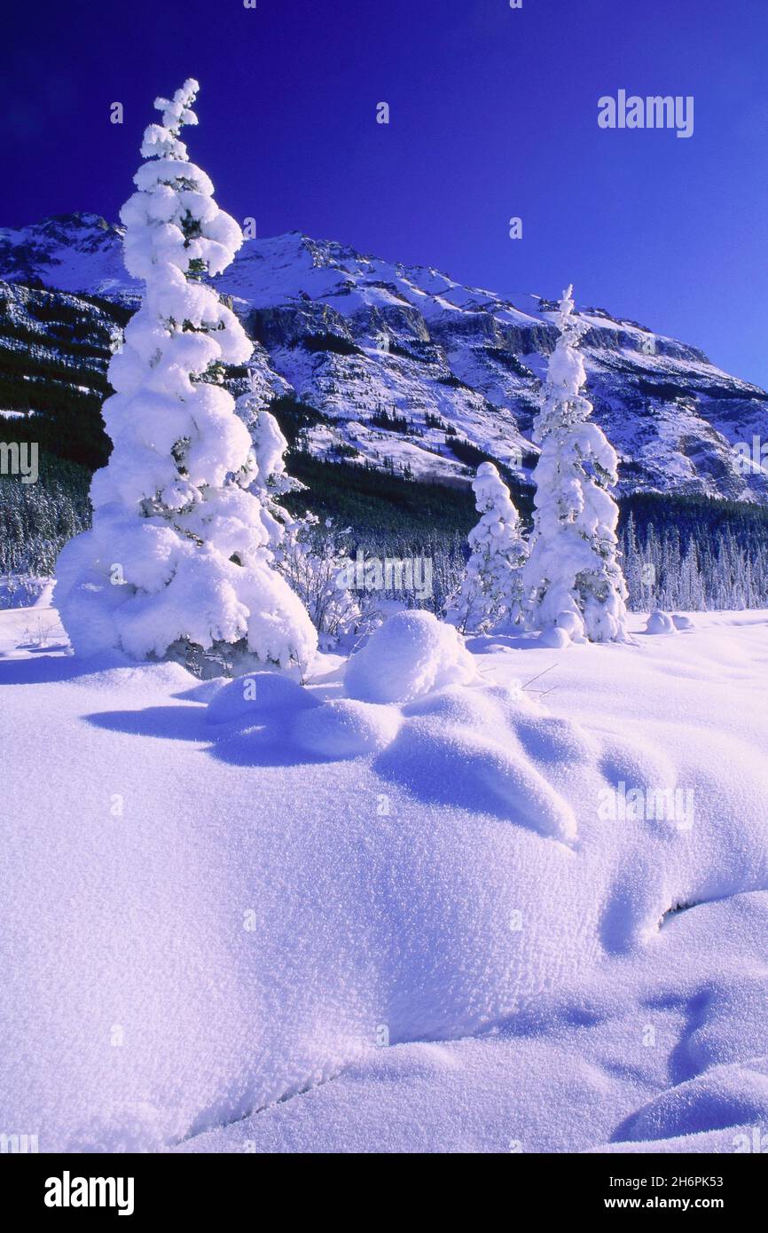 Winter Scenic, Banff National Park, Alberta, Canada Stock Photo - Alamy