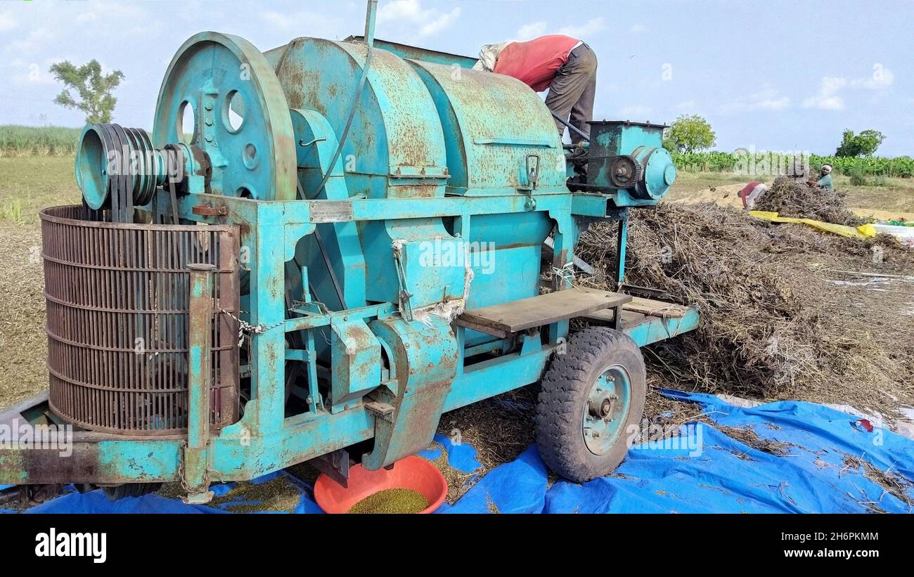 BURHANPUR, INDIA - Sep 12, 2021: A thresher machine operator cleaning ...