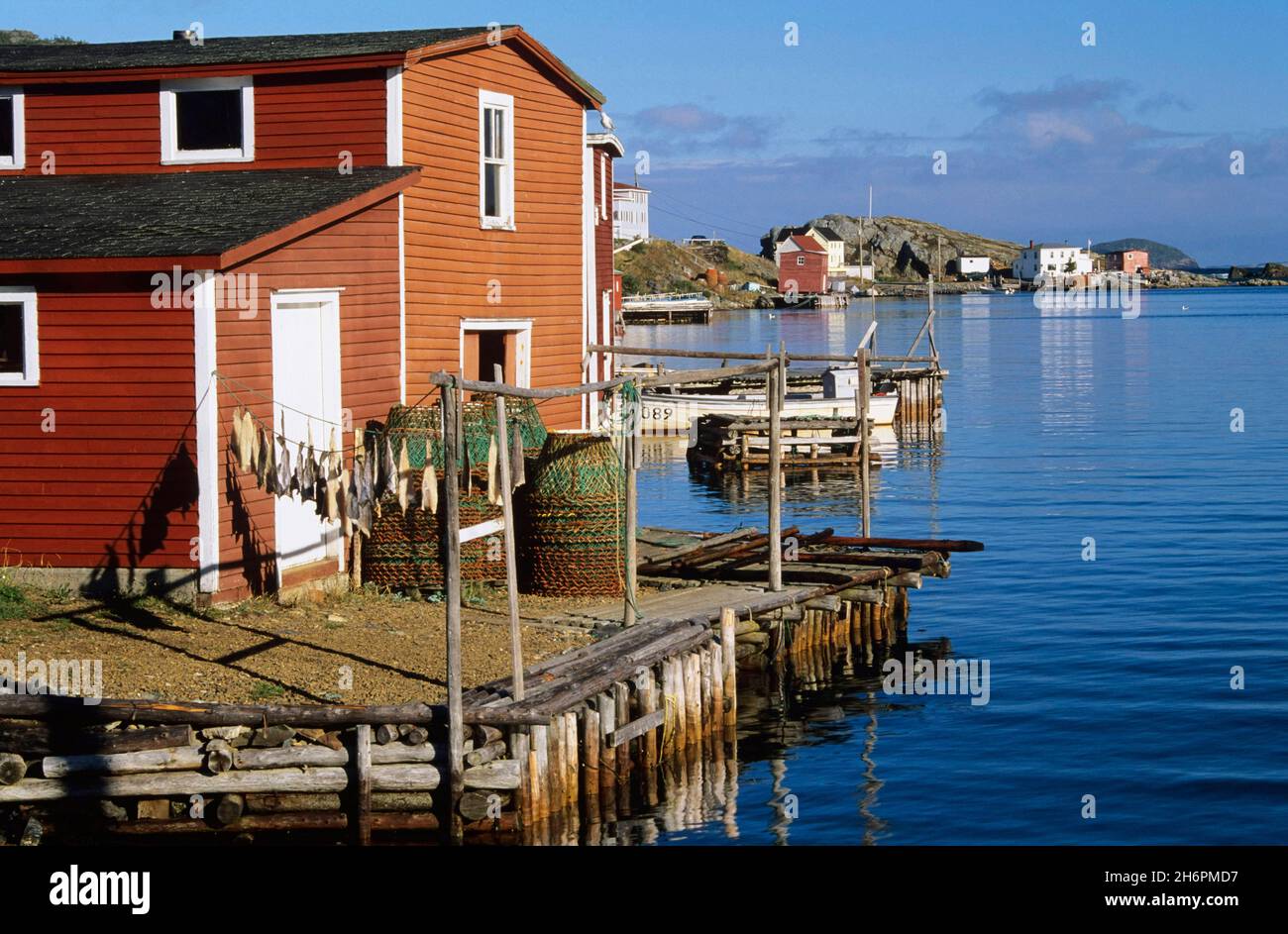 Fish drying, Salvage, Newfoundland and Labrador, Canada Stock Photo - Alamy