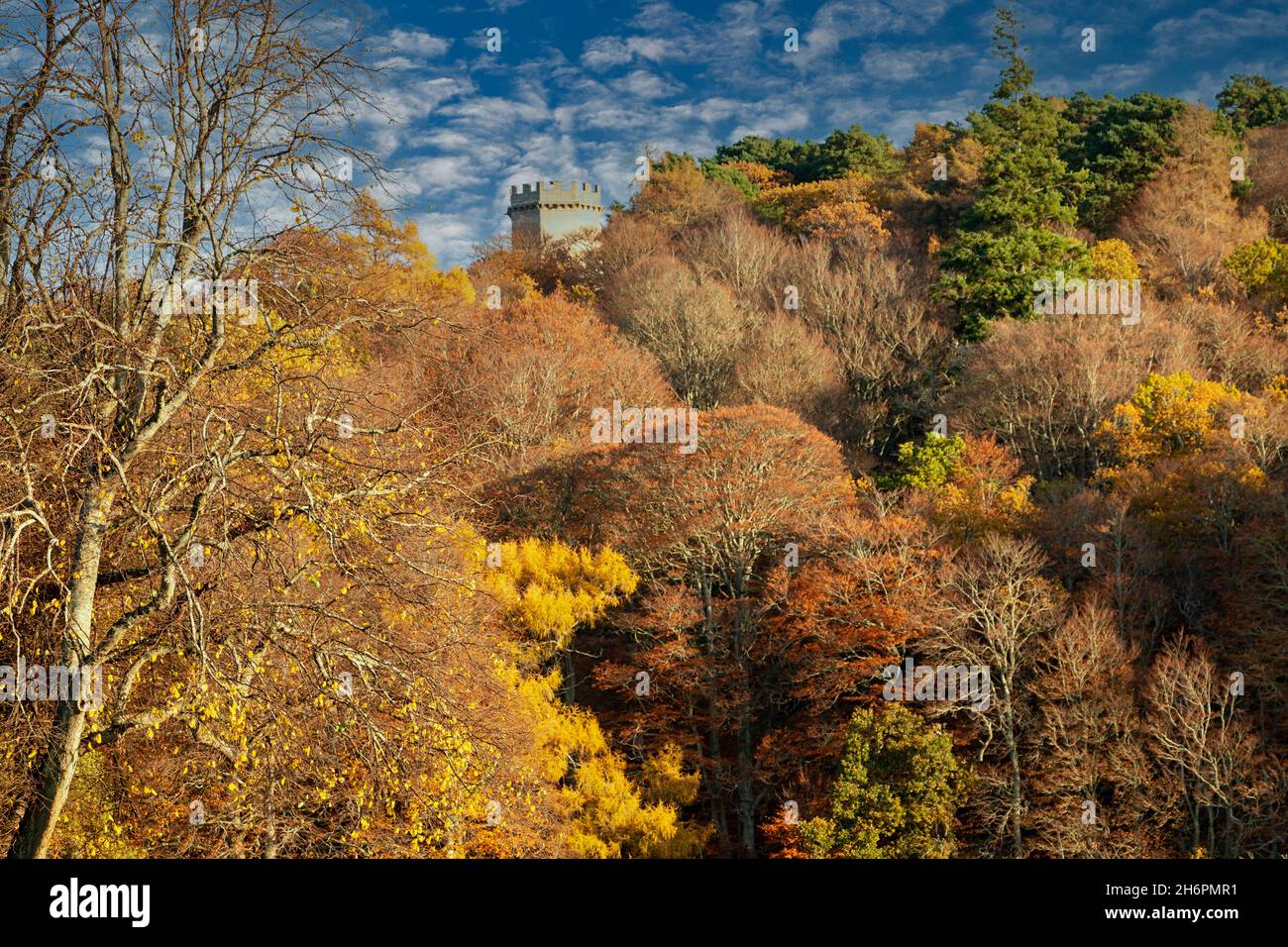 FORRES MORAY SCOTLAND GRANT PARK THE NELSON TOWER SURROUNDED BY AUTUMN ...