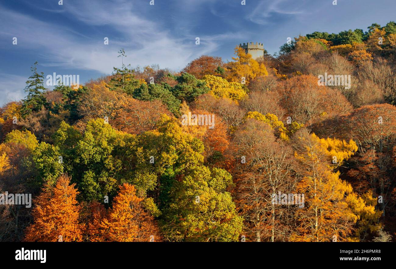 Nelson tower forres hi-res stock photography and images - Alamy