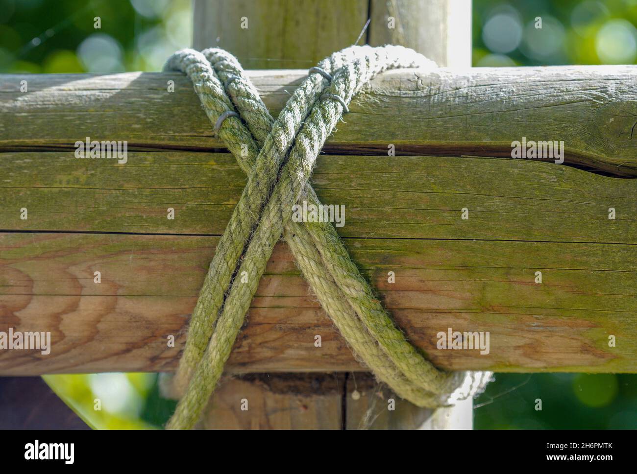Closeup shot of rope tied over a wooden log Stock Photo - Alamy