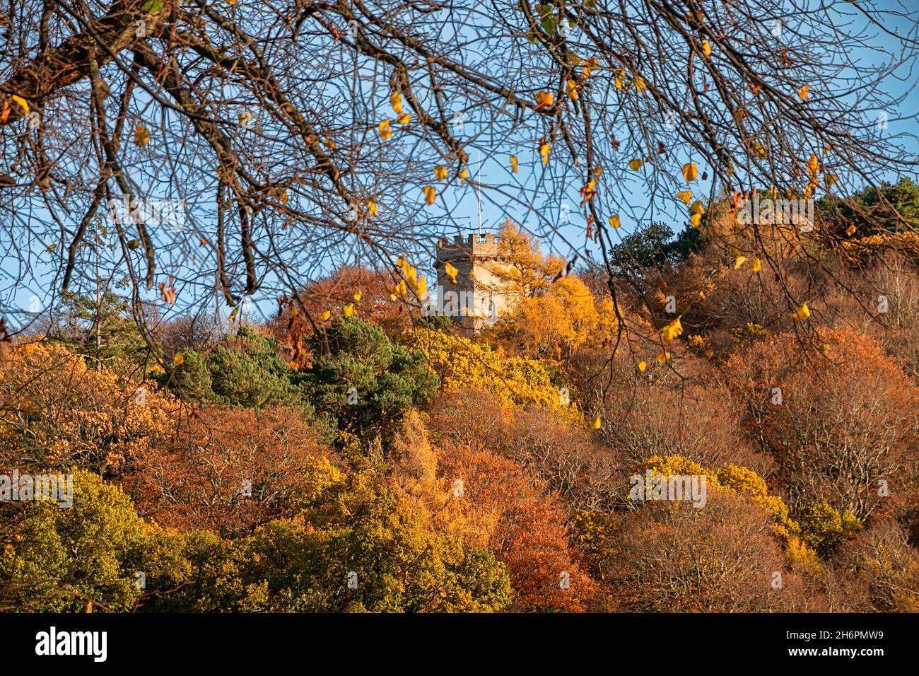 FORRES MORAY SCOTLAND NELSON TOWER SURROUNDED BY AUTUMN COLOURFUL TREE ...