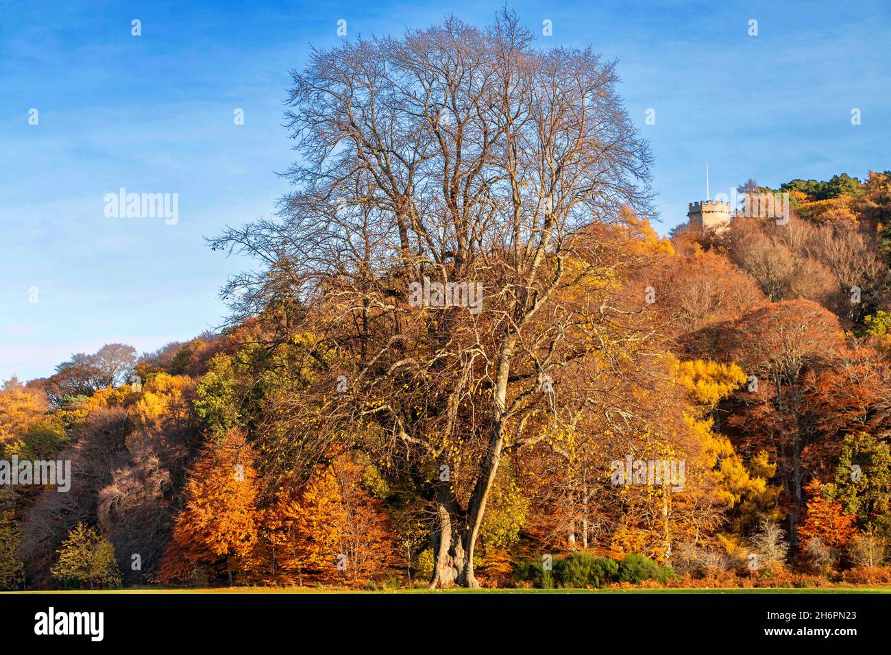FORRES MORAY SCOTLAND THE NELSON TOWER SURROUNDED BY AUTUMN COLOURFUL ...
