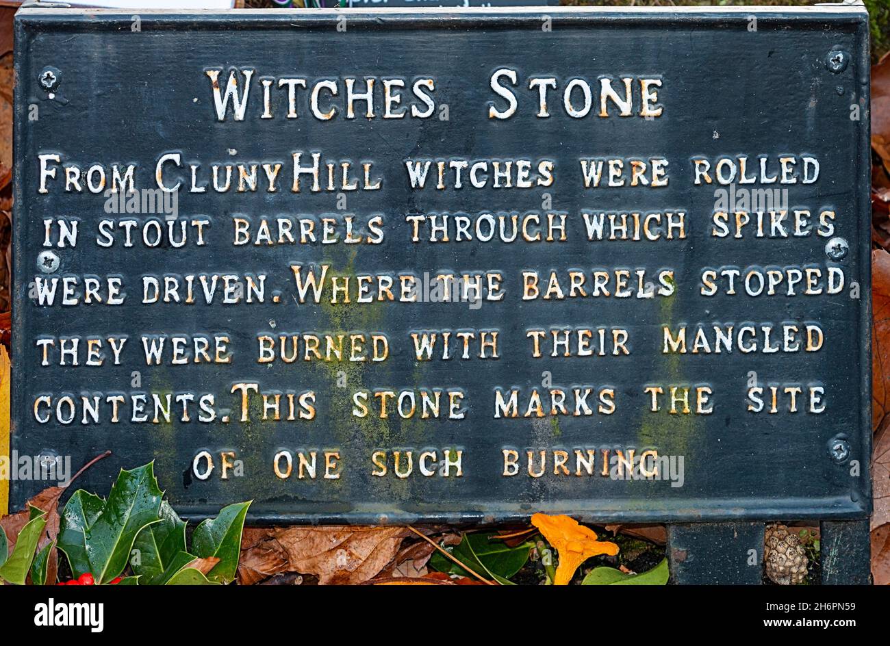 FORRES MORAY SCOTLAND WITCHES STONE AND INFORMATION SIGN Stock Photo - Alamy