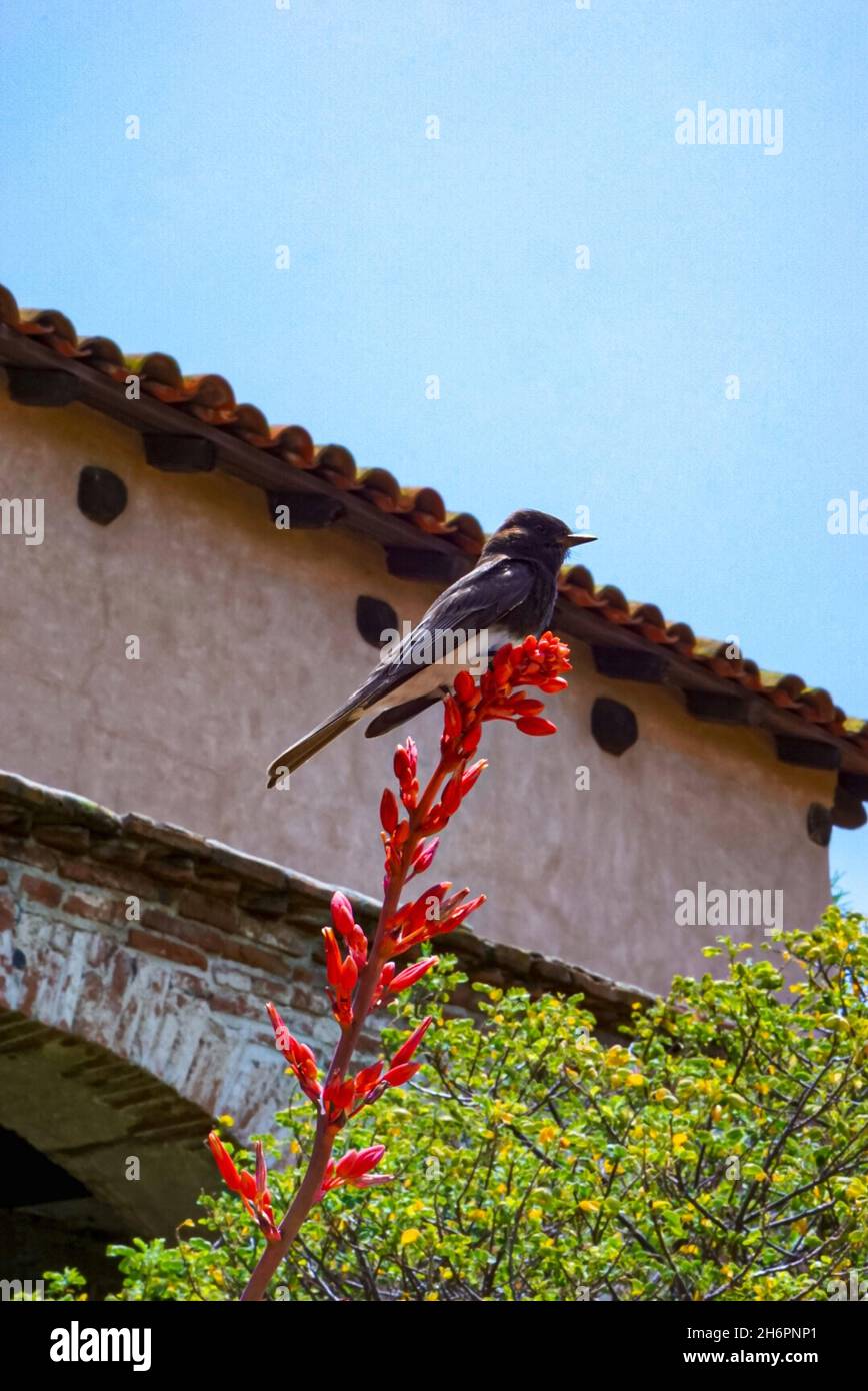 False freedom hi-res stock photography and images - Alamy