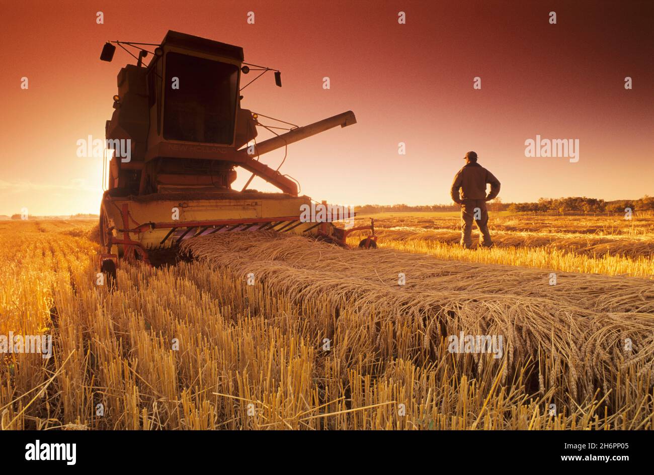 Farmer standing beside a combine in a field at Sunrise Model Released ...