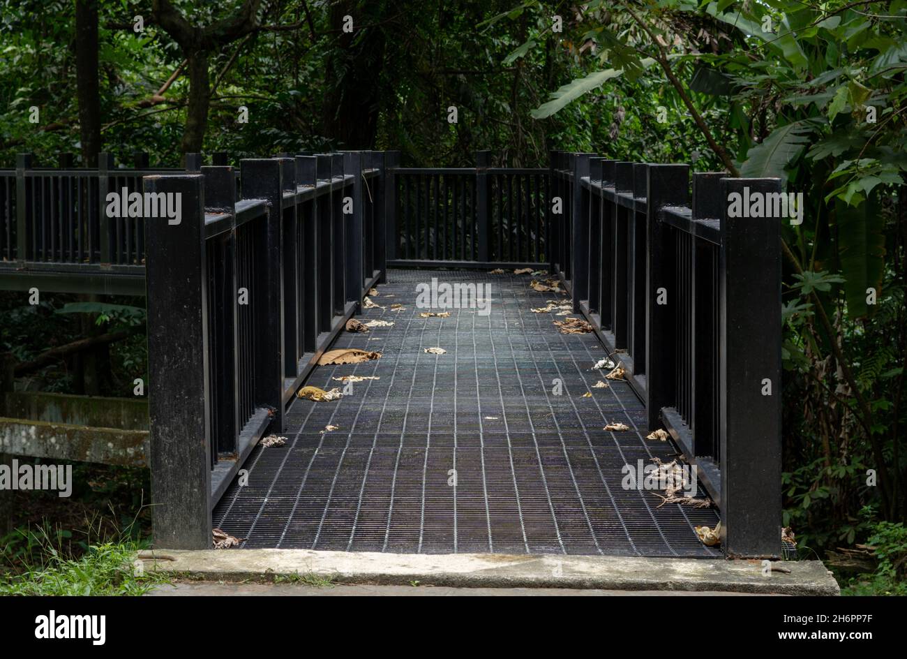 Kepong park hi-res stock photography and images - Alamy