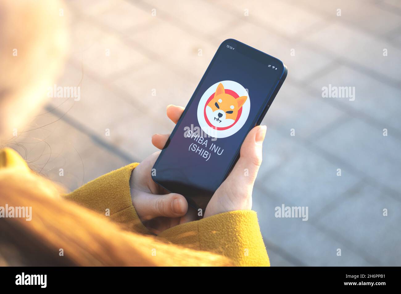 Shiba Inu cryptocurrency symbol, logo. Business and financial concept ...