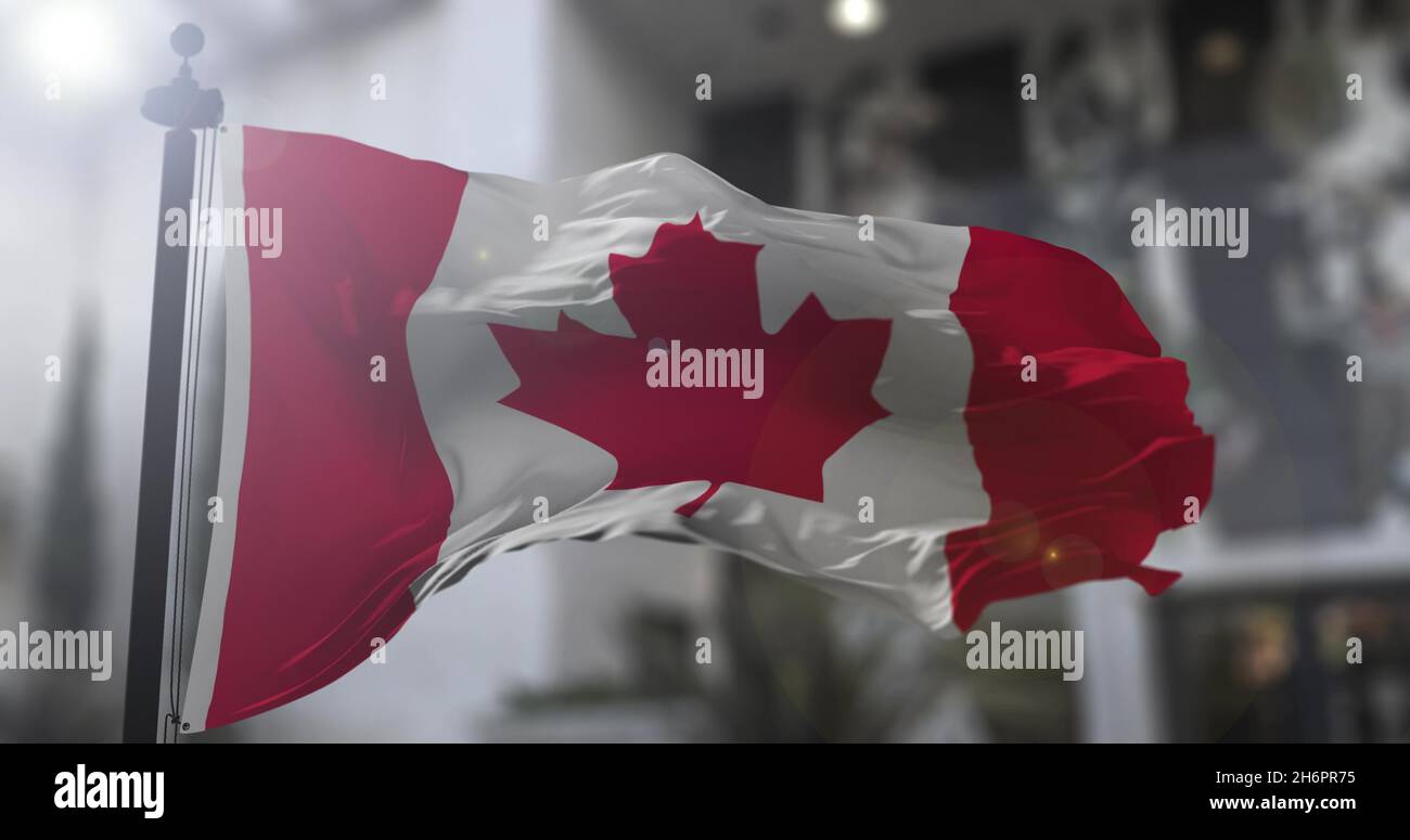Canada national flag. x country waving flag. Politics and news ...