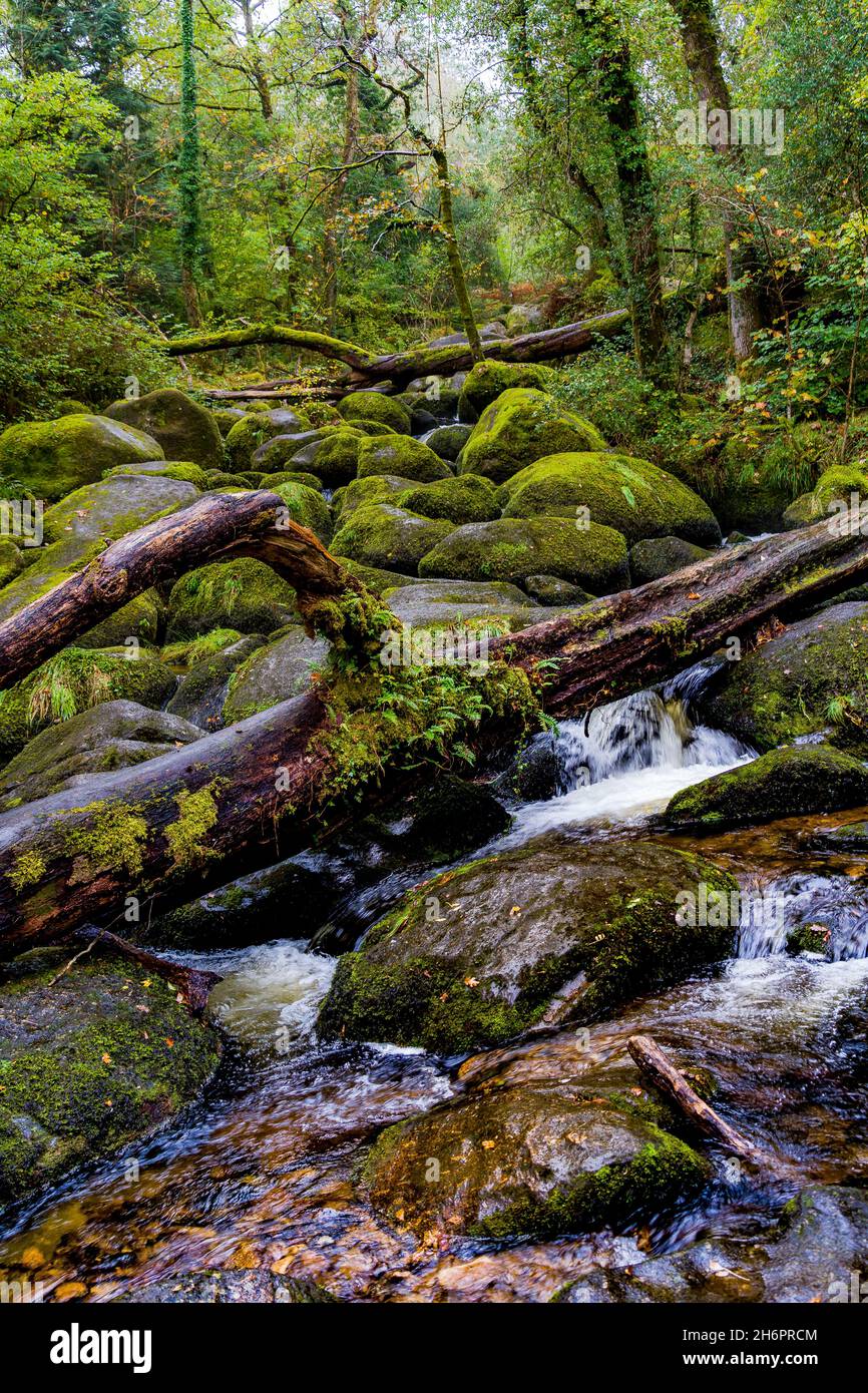 Becky Falls is a beauty spot on Dartmoor in Devon Stock Photo - Alamy