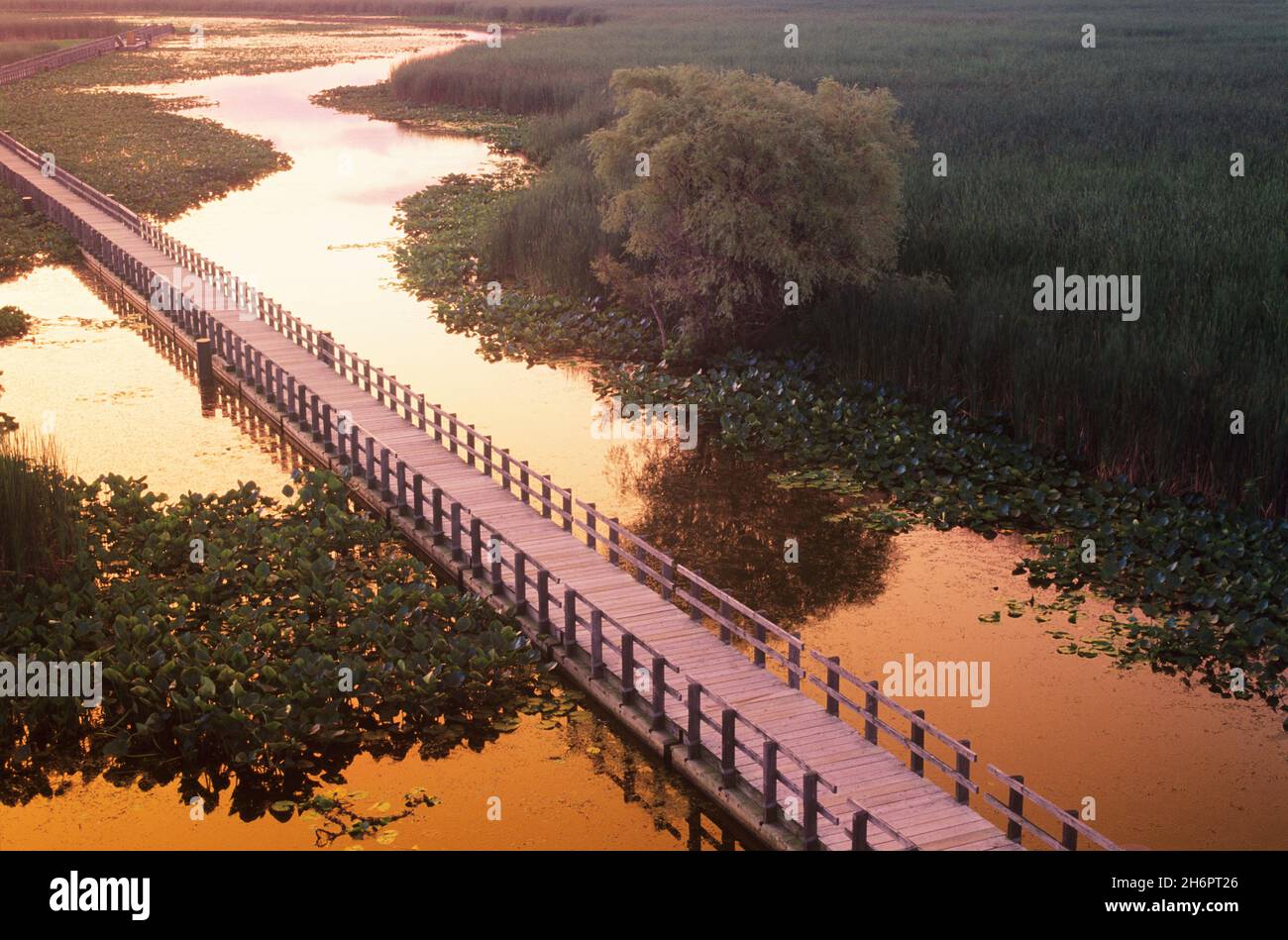 Boardwalk over marsh, Point Pelee National Park, Ontario, Canada Stock ...
