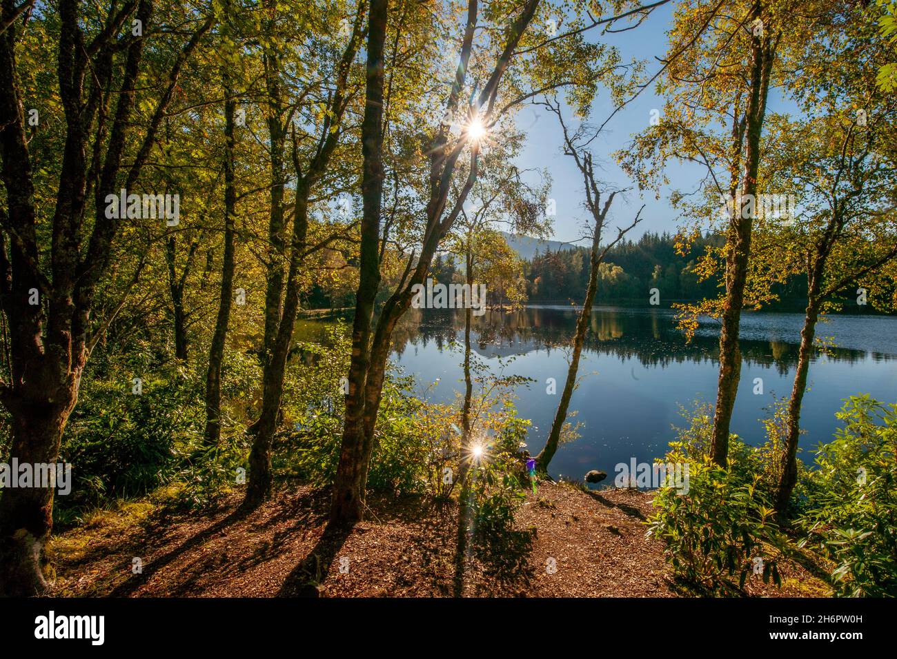 Autumn on the Lochan Trail, Glencoe, west Highlands Stock Photo - Alamy
