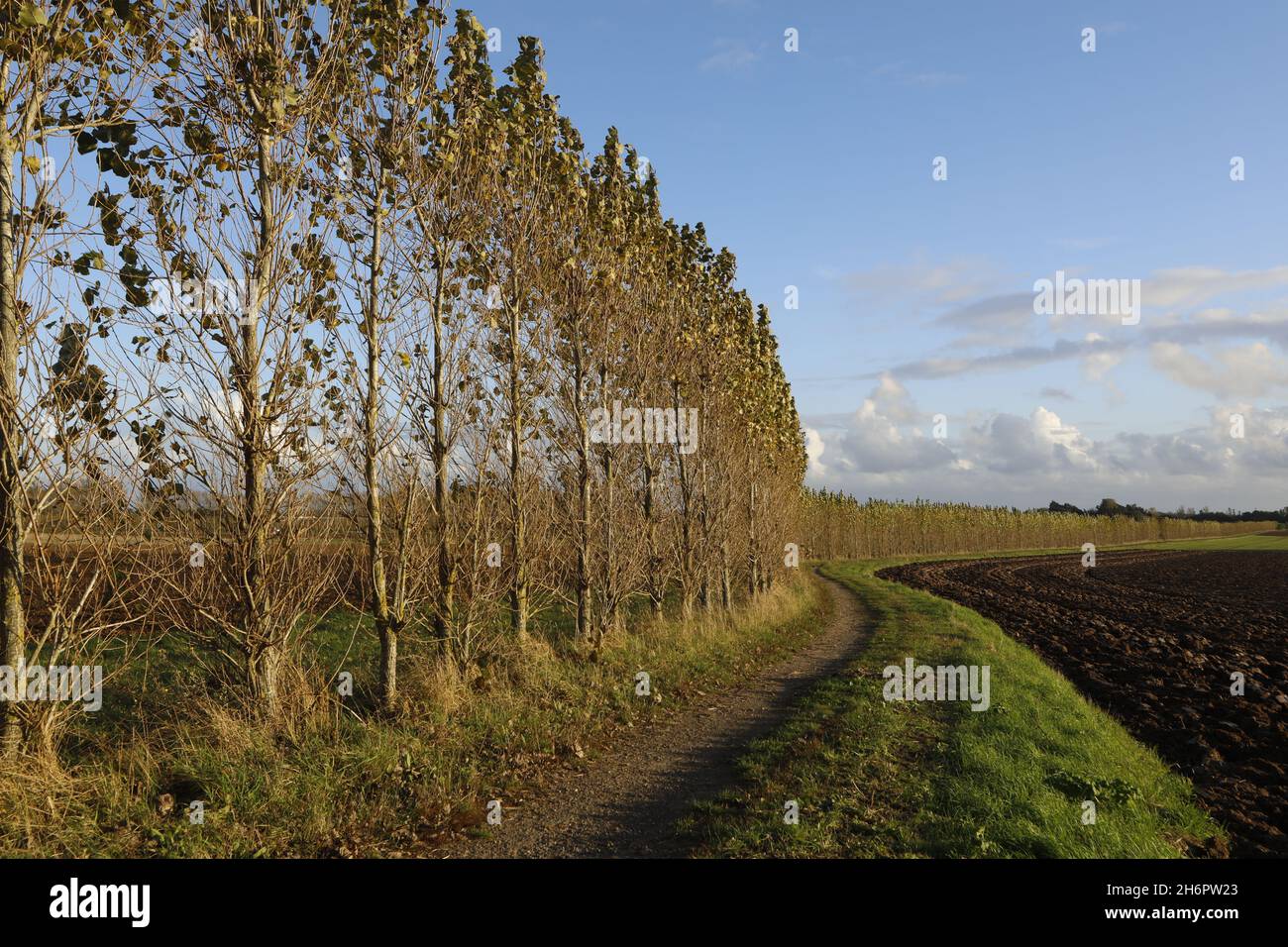 Night sky with view hi-res stock photography and images - Alamy