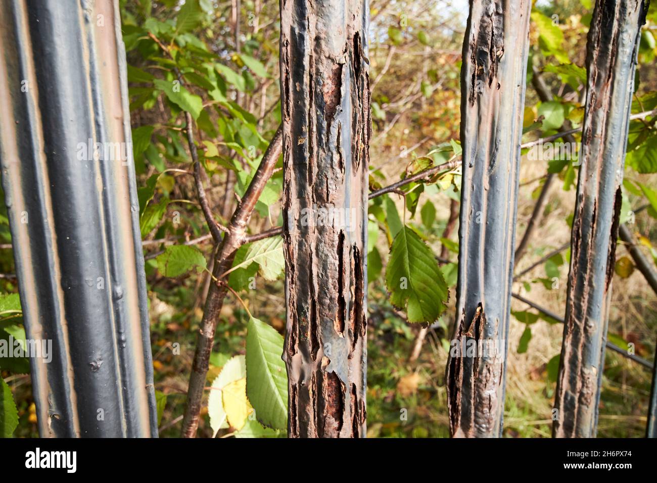 Rusting old fence hi-res stock photography and images - Alamy