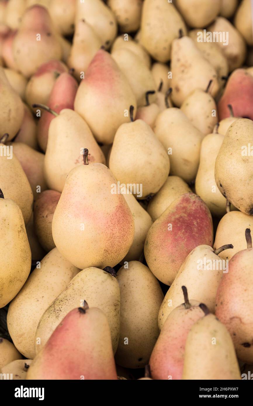pile of ripe pears as a background at market Stock Photo - Alamy