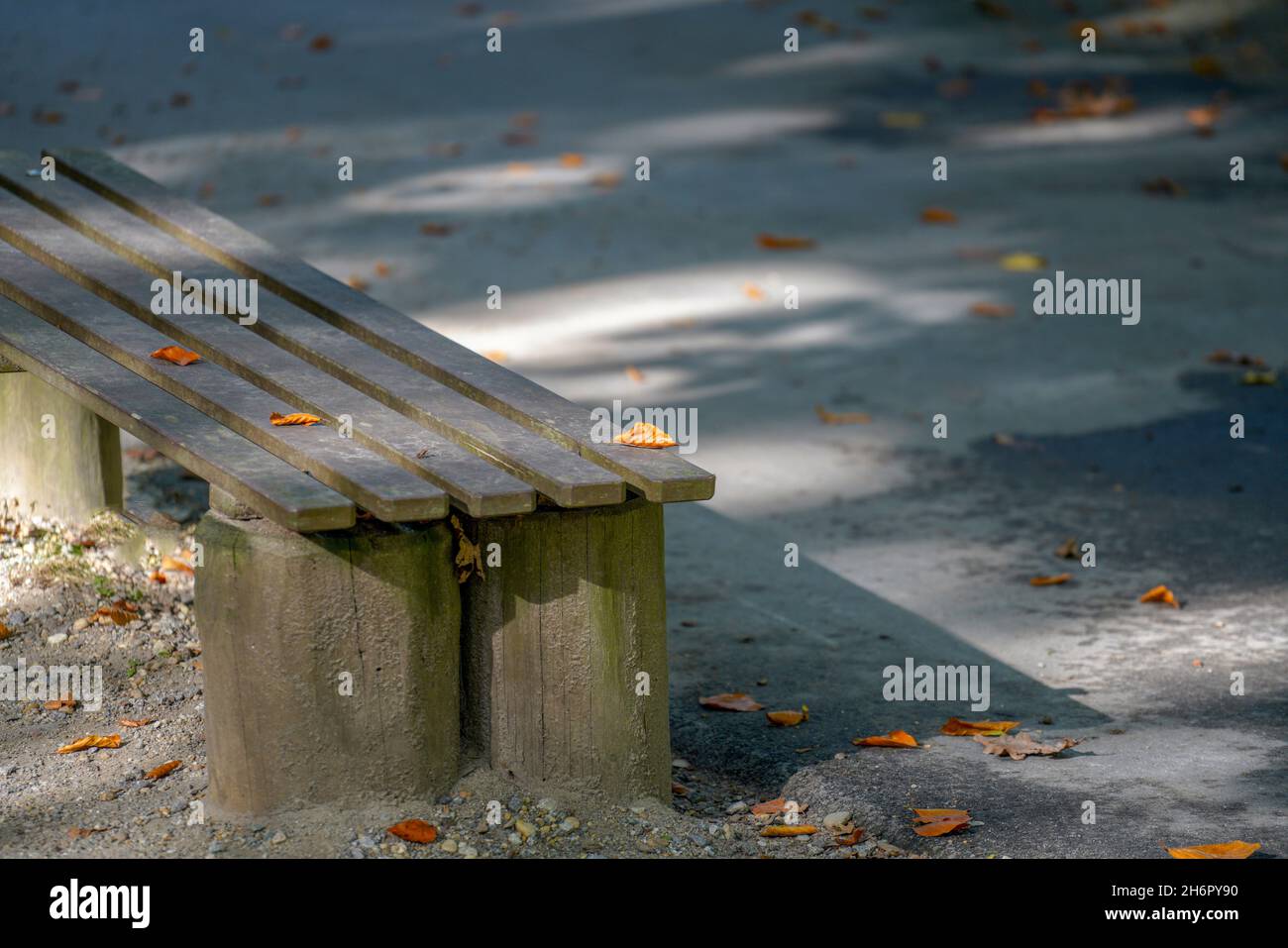 Old wooden bench outdoors with fall leaves on the ground Stock Photo ...