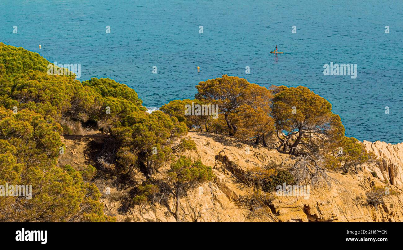 Landscape view of a promontory with trees with a beautiful blue sea in ...