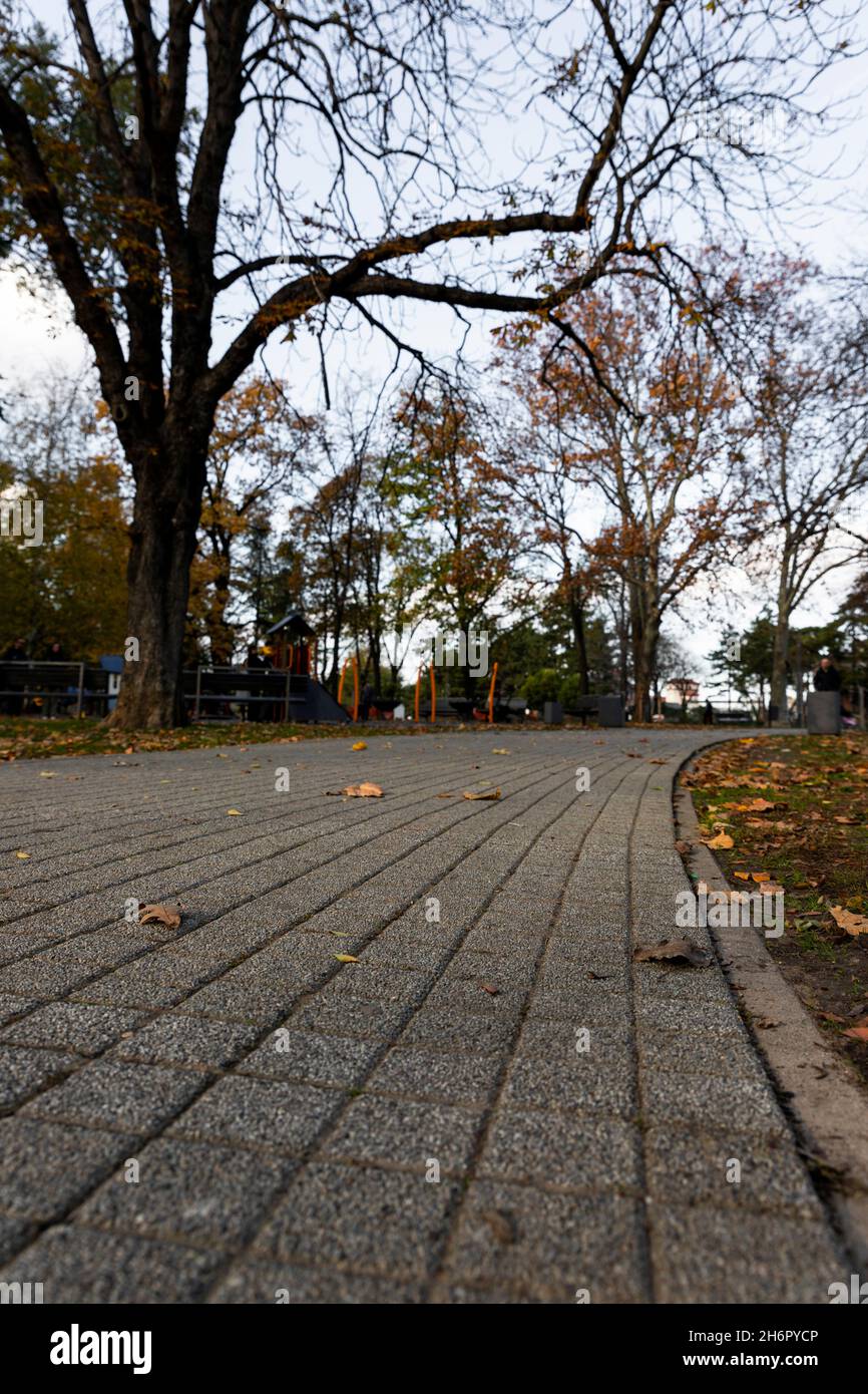 Walking path in the park .Focus on the trail and pavement Stock Photo ...