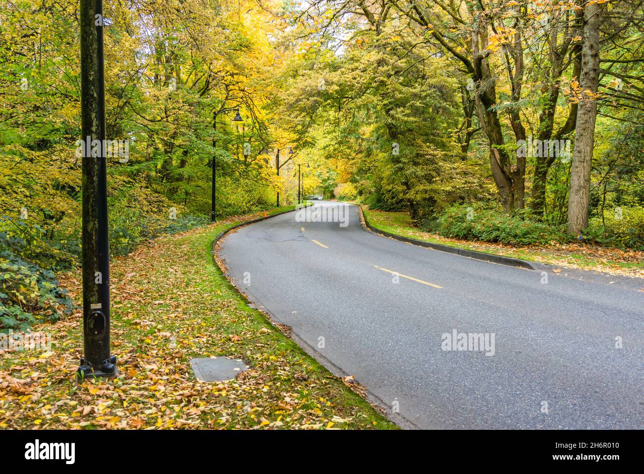 Fall foliage along the road through Washington Park Arboretum in ...