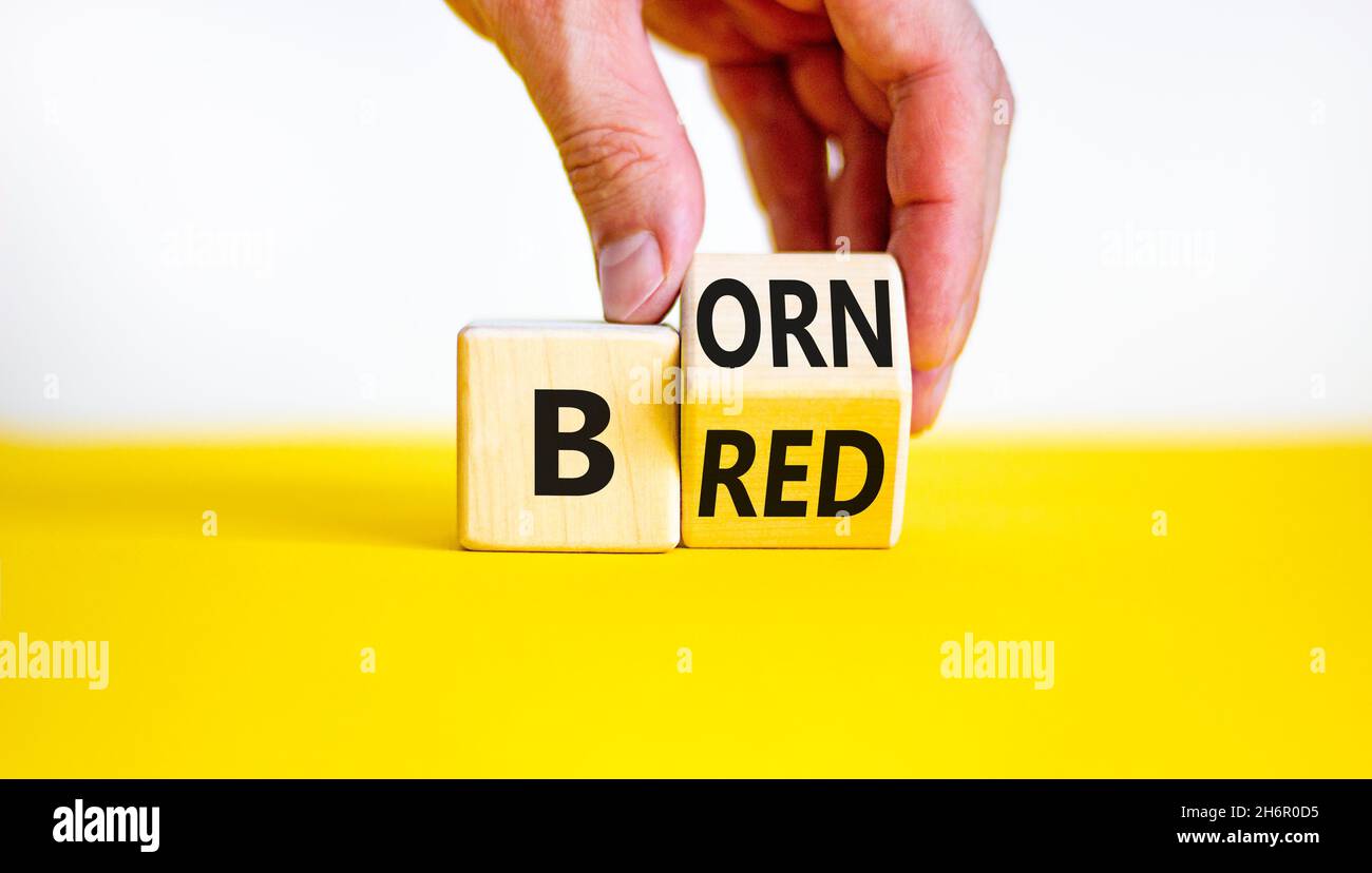 Born or bred symbol. Businessman turns a wooden cube and changes the ...
