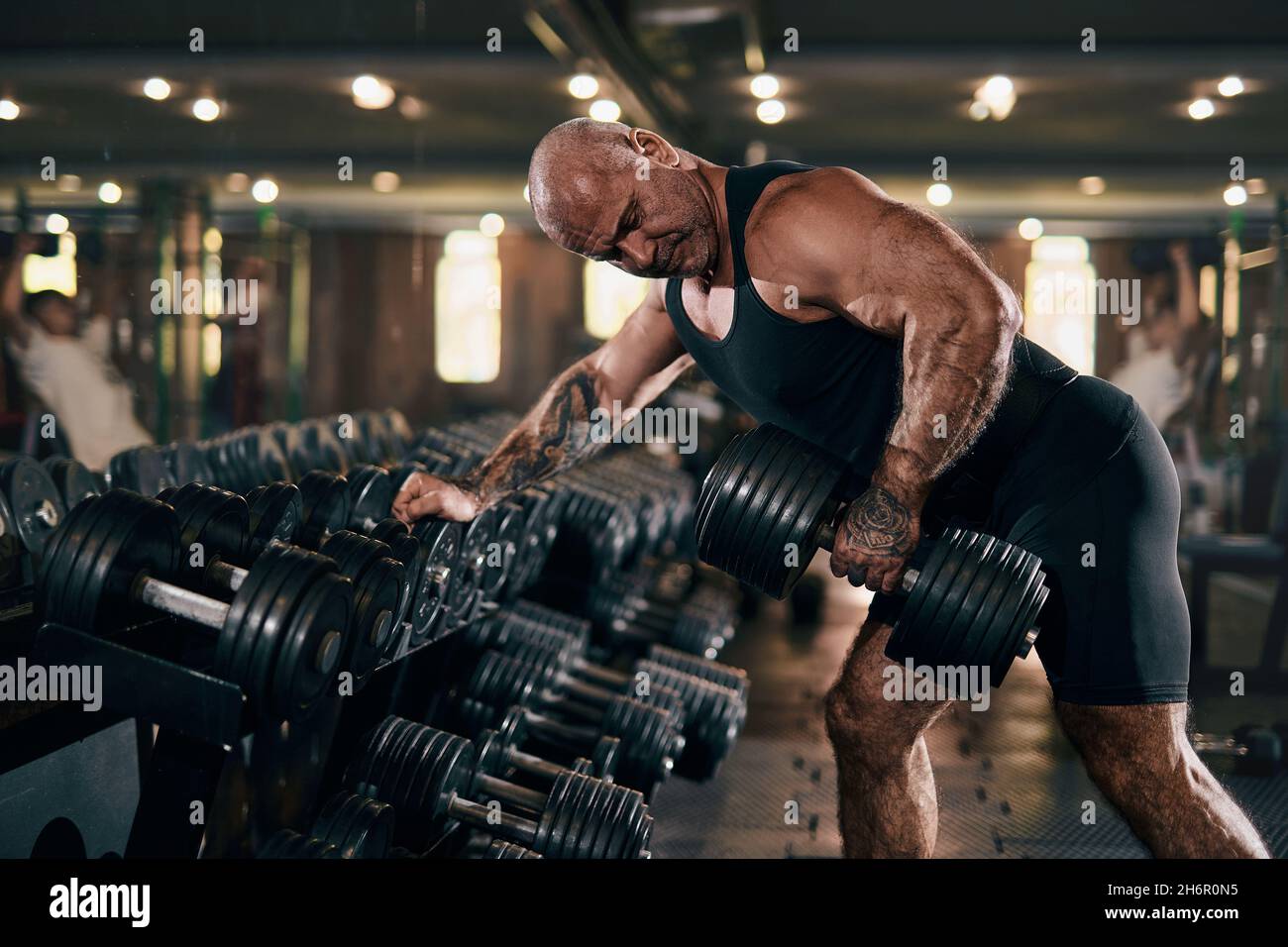 Adult male bodybuilder doing exercises with dumbbells while posing in ...