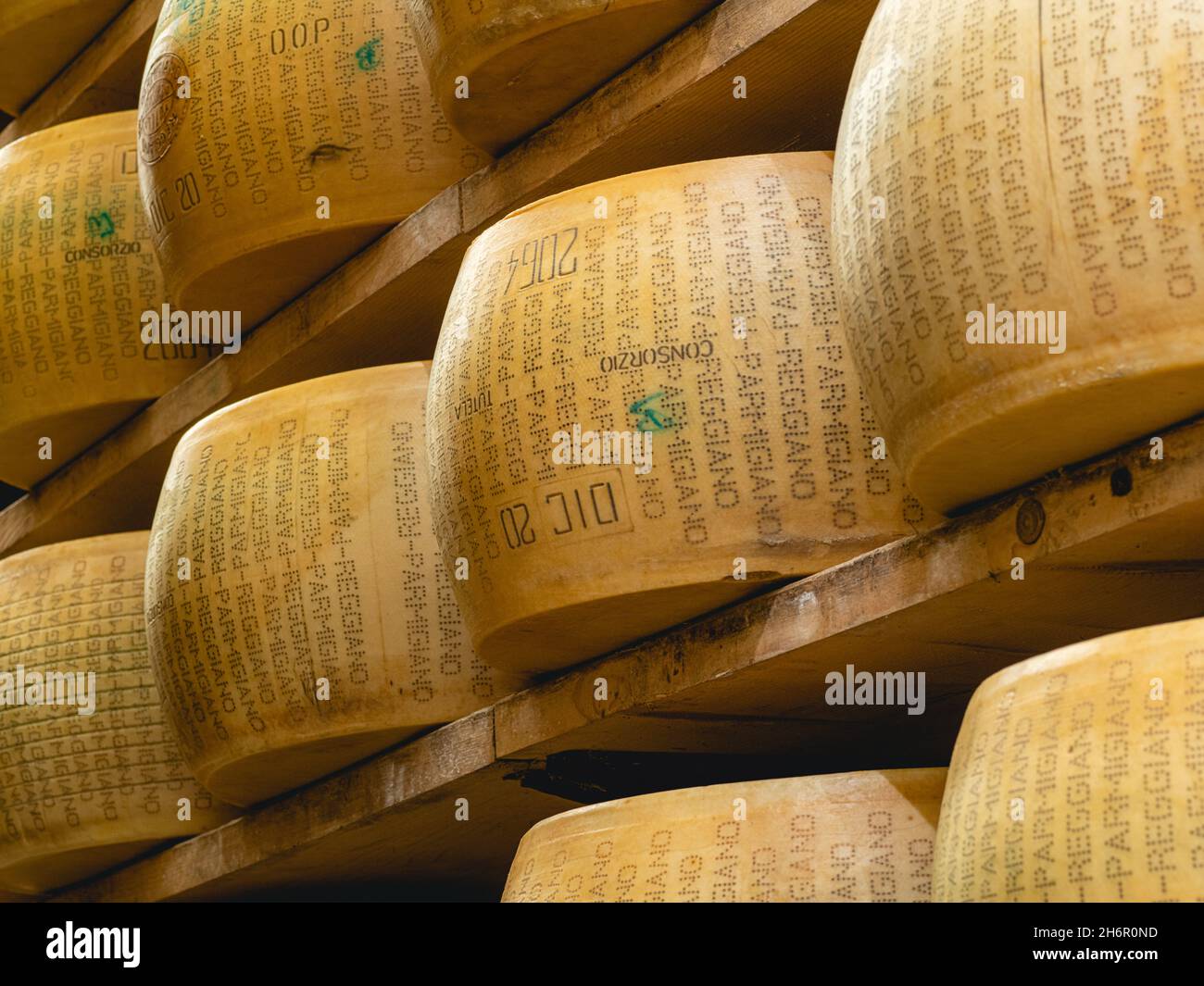 parmesan Parmigiano Reggiano cheese wheel maturing in the diary farm ...