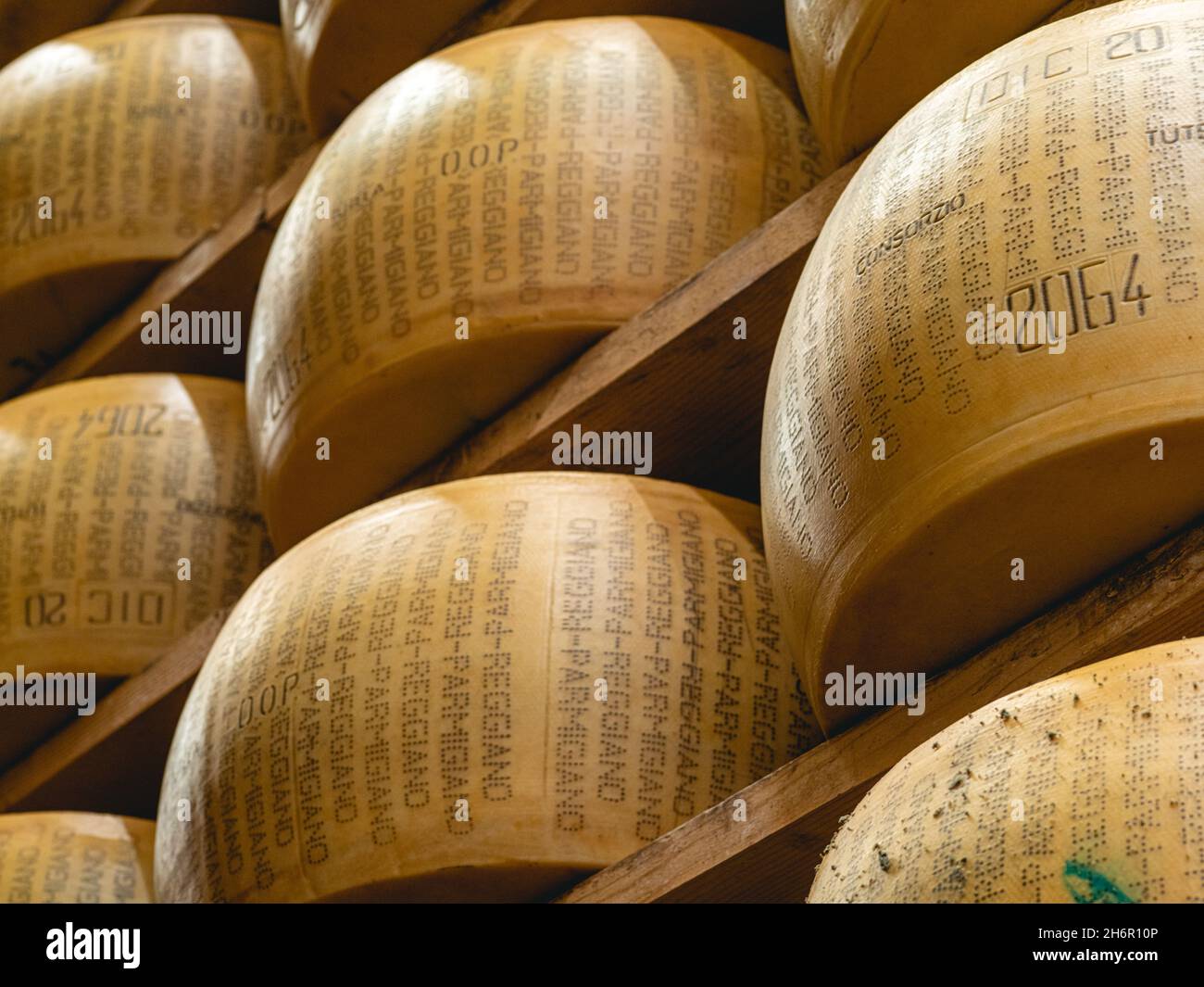parmesan Parmigiano Reggiano cheese wheel maturing in the diary farm ...