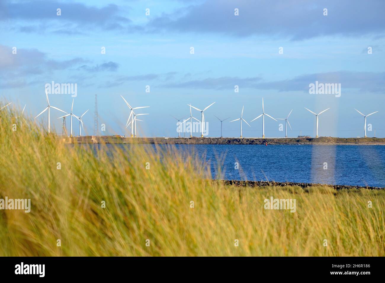 Naturally lit colour image of the Teesside Wind Farm pictured from ...