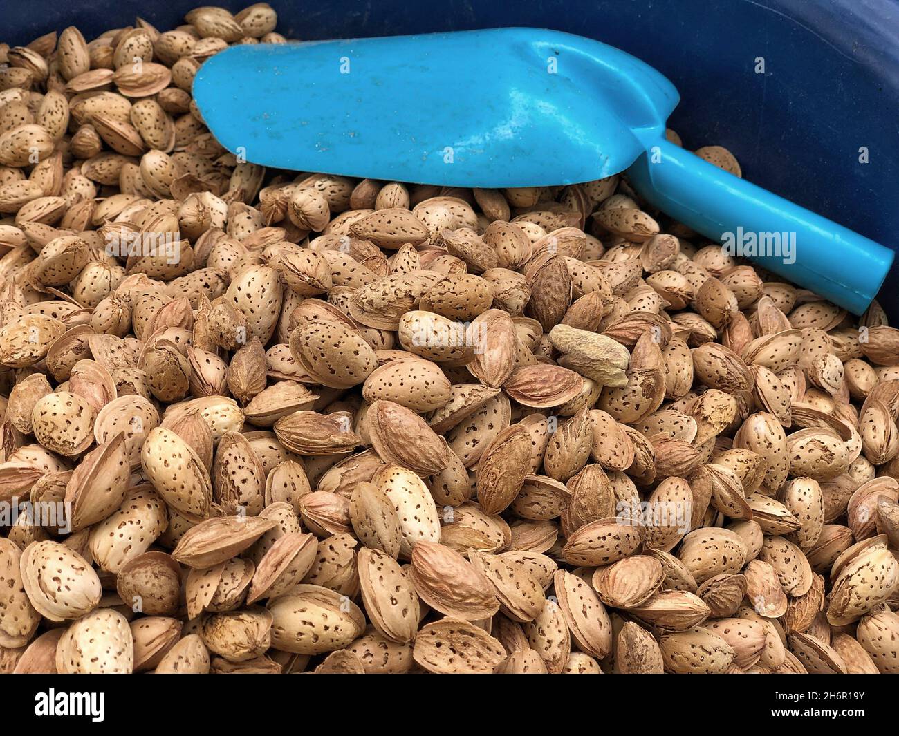 pile of almonds with shell as a background Stock Photo - Alamy