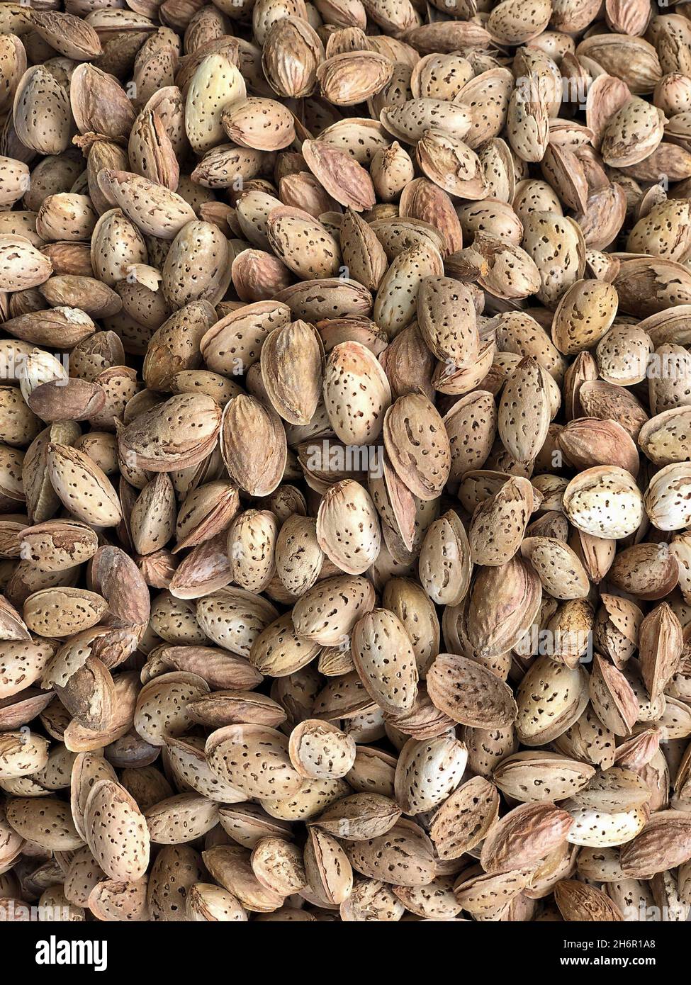 pile of almonds with shell as a background Stock Photo - Alamy