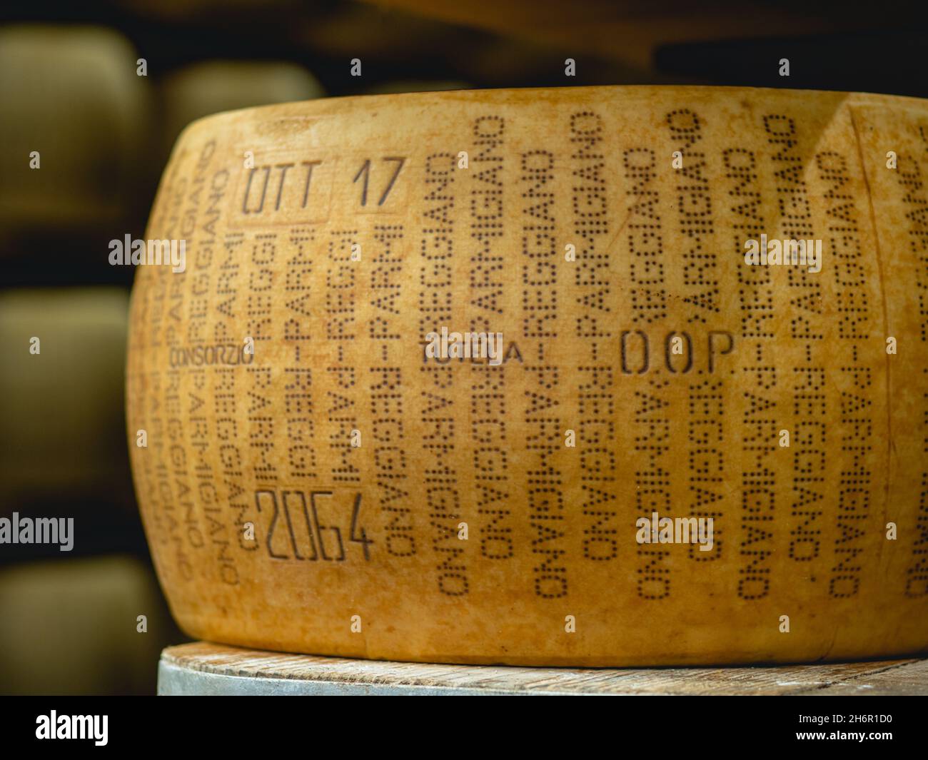 parmesan Parmigiano Reggiano cheese wheel maturing in the diary farm ...