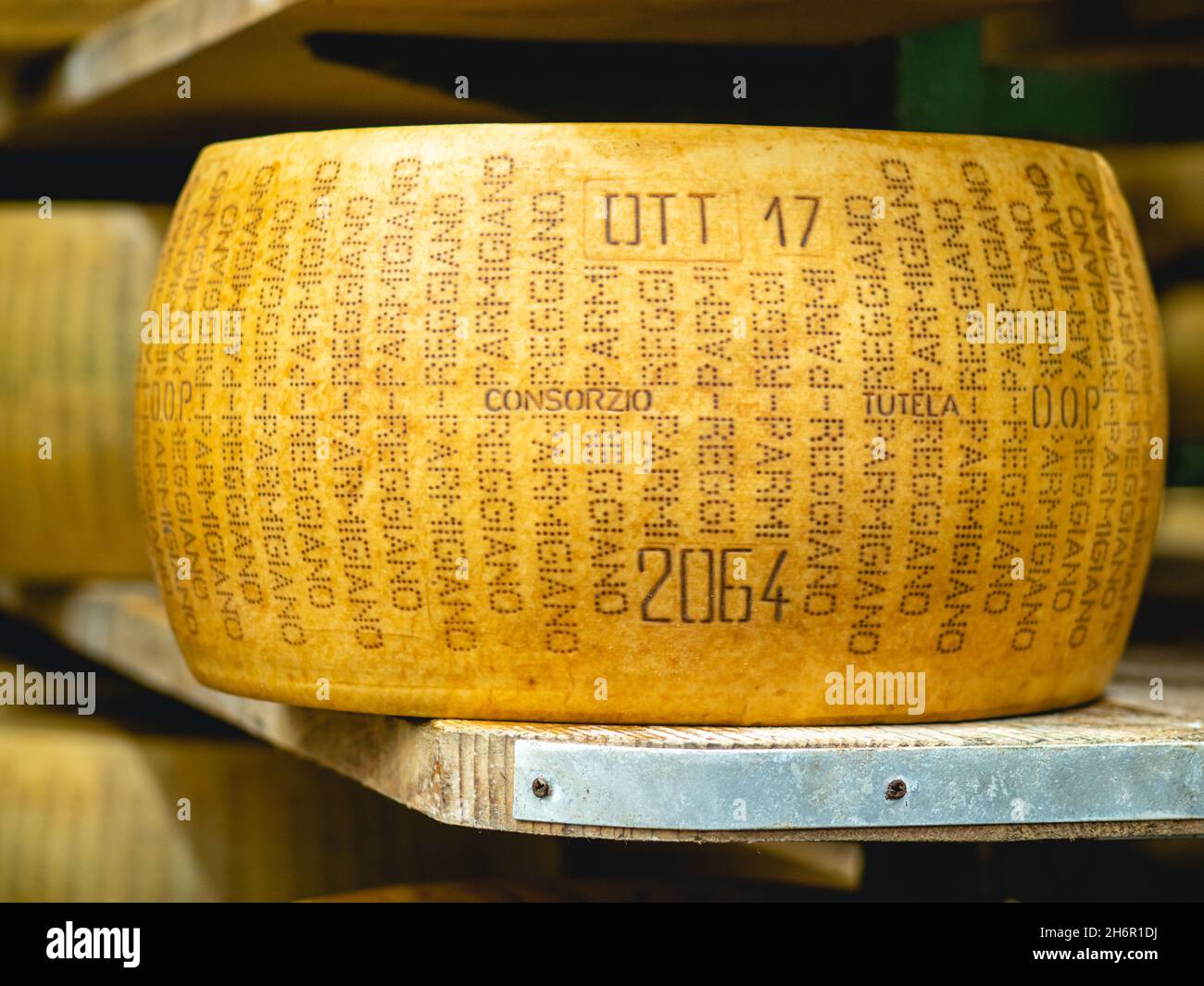 parmesan Parmigiano Reggiano cheese wheel maturing in the diary farm ...