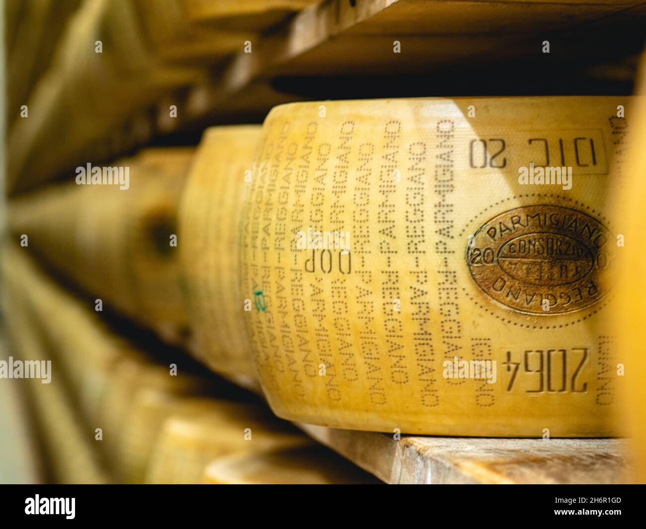 parmesan Parmigiano Reggiano cheese wheel maturing in the diary farm ...