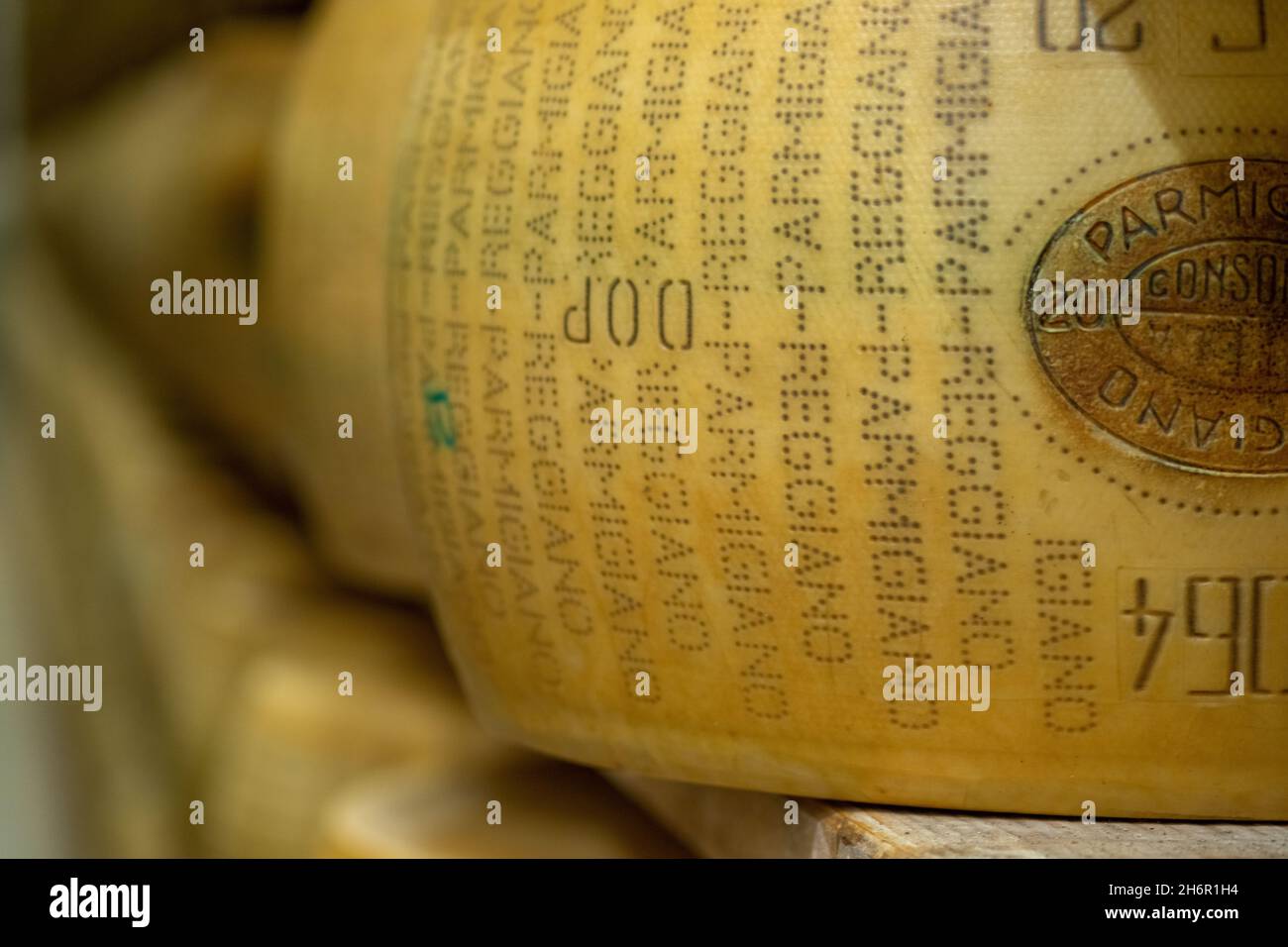 parmesan Parmigiano Reggiano cheese wheel maturing in the diary farm ...