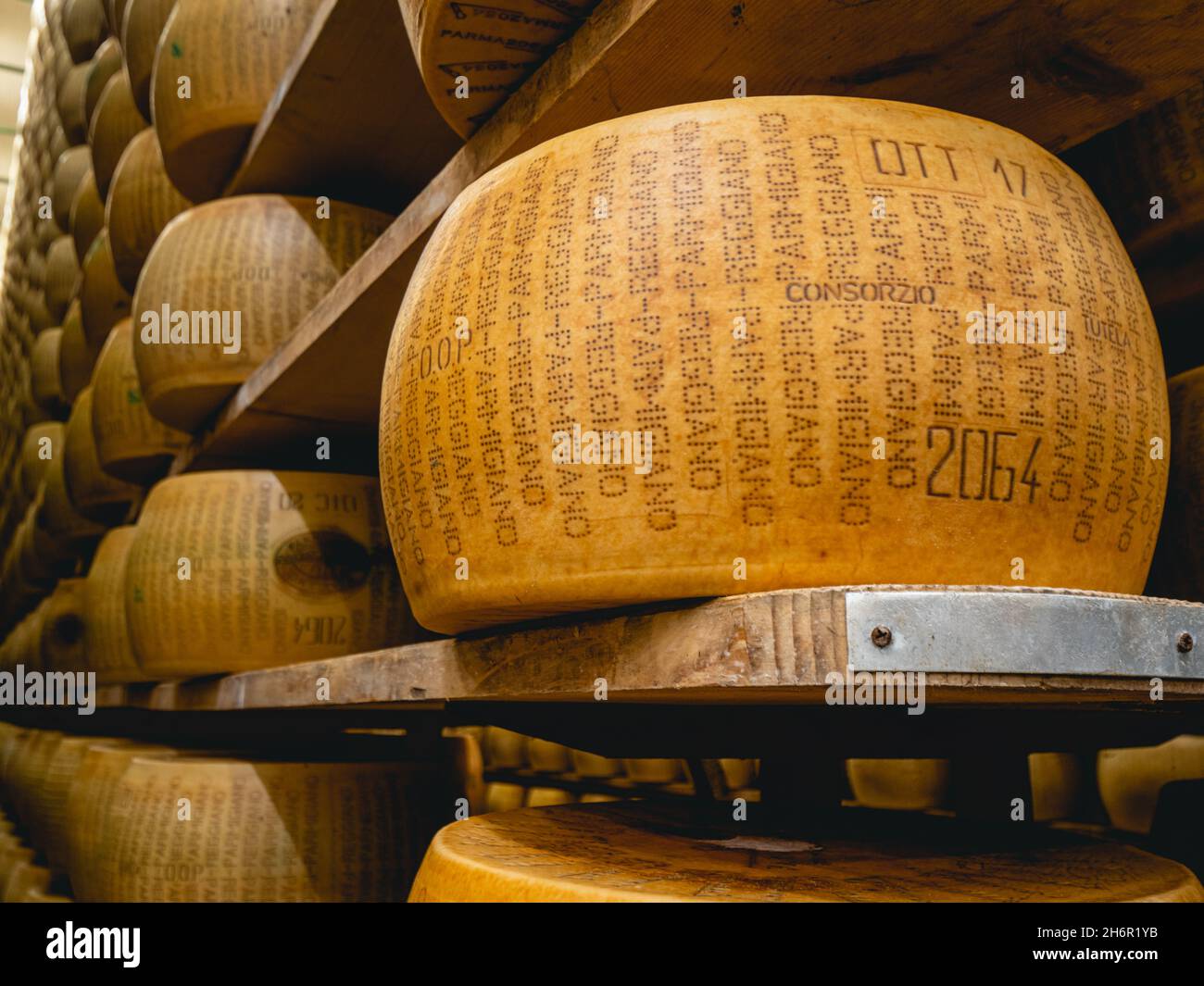 parmesan Parmigiano Reggiano cheese wheel maturing in the diary farm ...