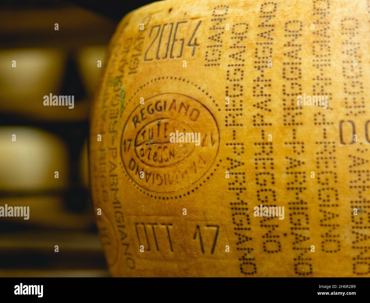 parmesan Parmigiano Reggiano cheese wheel maturing in the diary farm ...