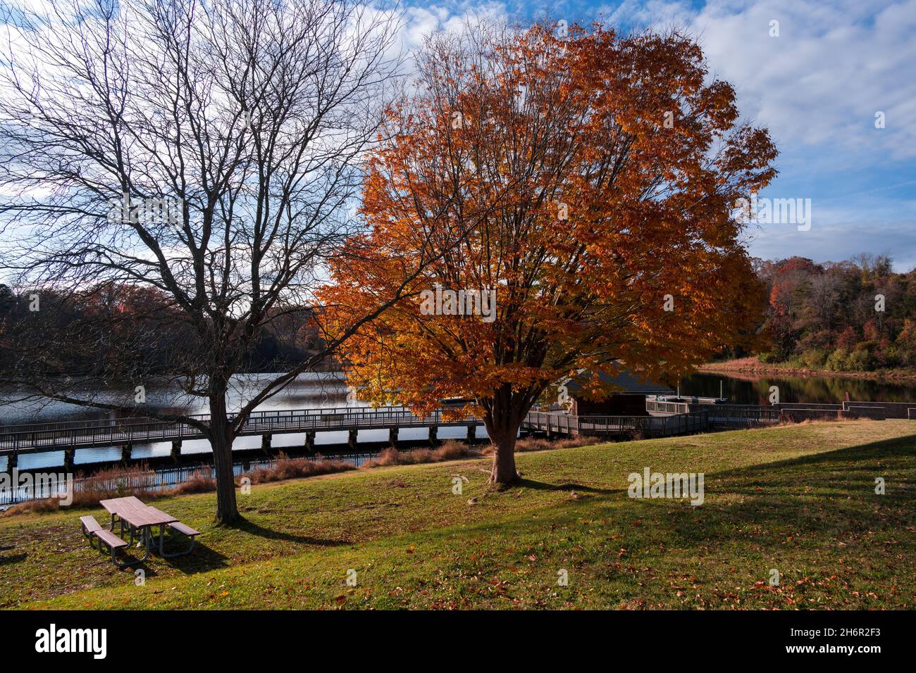 Burnt Orange High Resolution Stock Photography and Images - Alamy