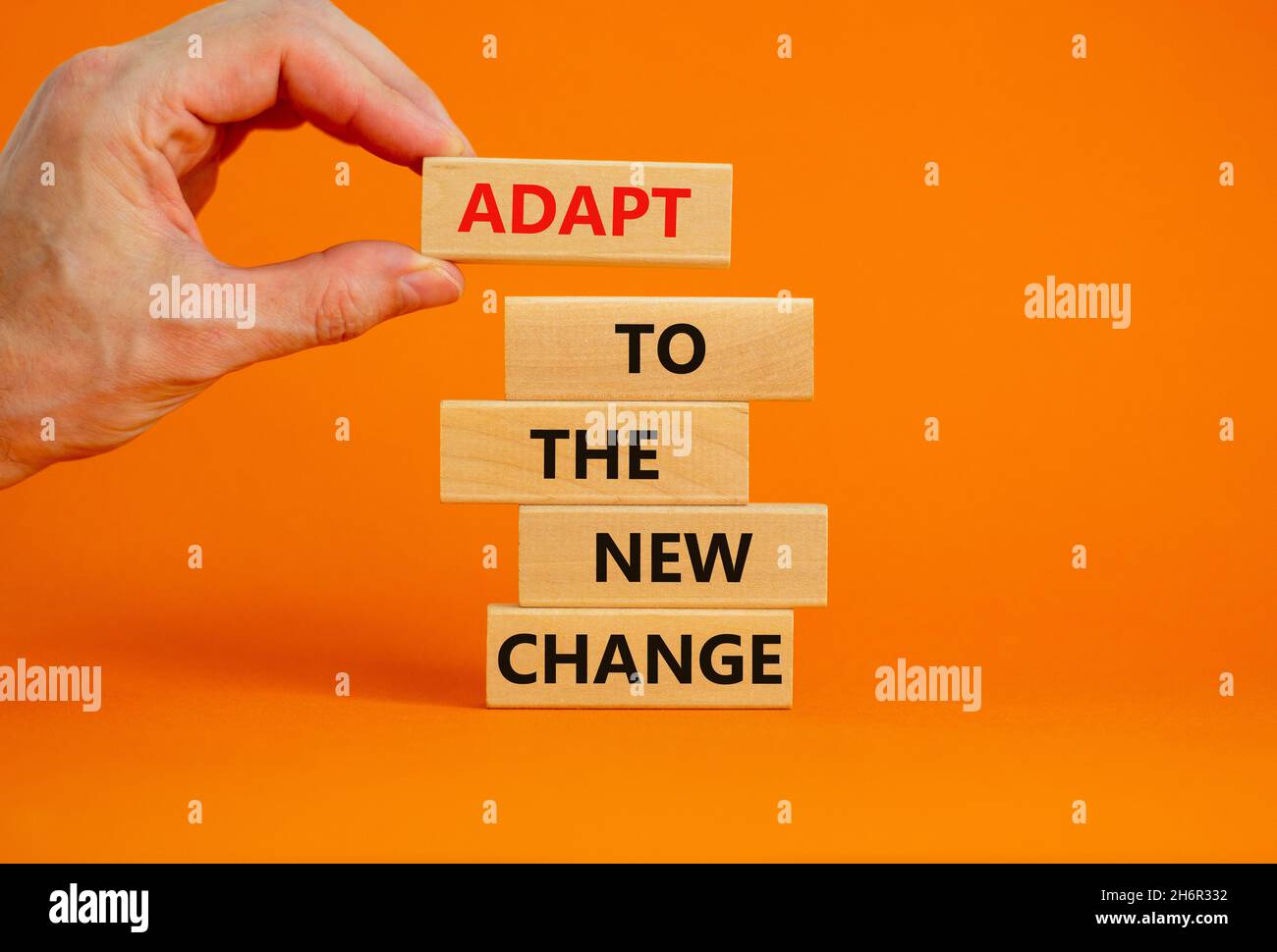 Adapt to the new change symbol. Wooden blocks with words Adapt to the ...