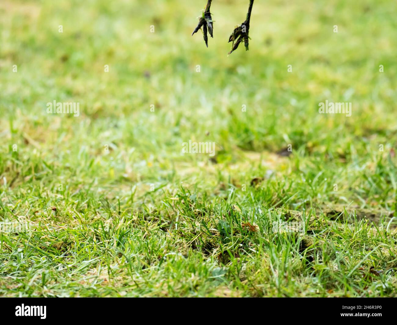 Crows feet hi-res stock photography and images - Alamy