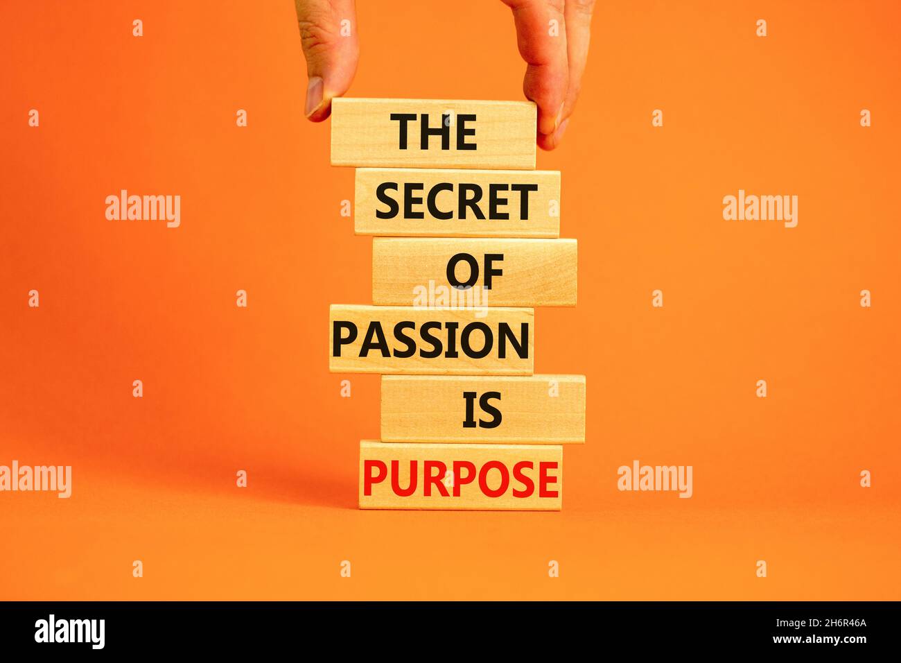 Passion and purpose symbol. Wooden blocks with concept words The secret ...