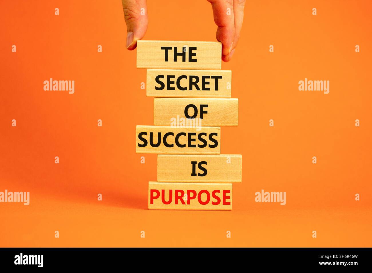 Success and purpose symbol. Wooden blocks with concept words The secret ...